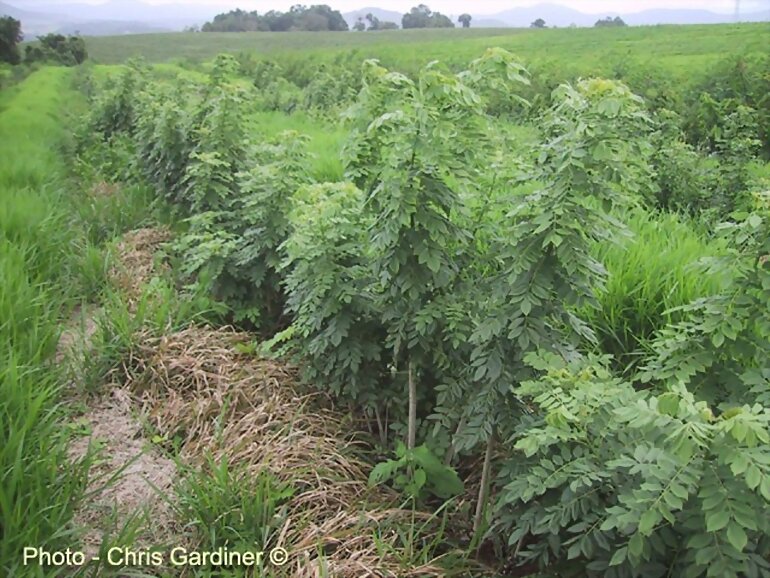 El fotolog de 79496191