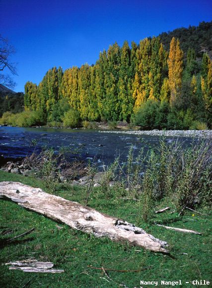 Río Bio Bio (Chile) - Fotolog de Nancy Nangel (Chile)